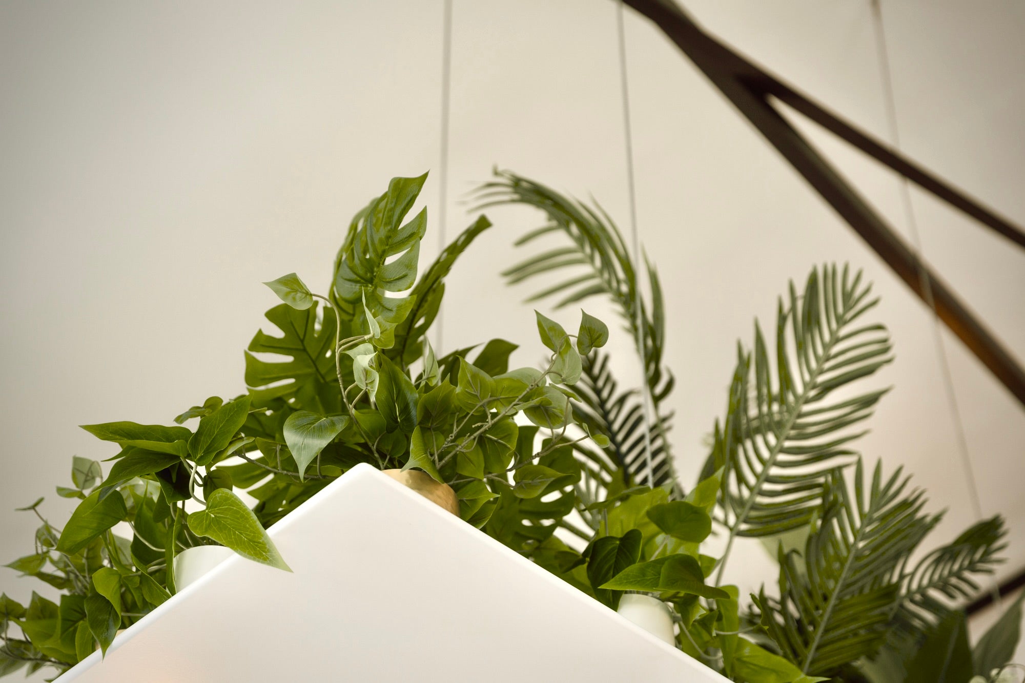 Sauna House Durham: Bathhouse, Ice Bath, and Cold Plunge