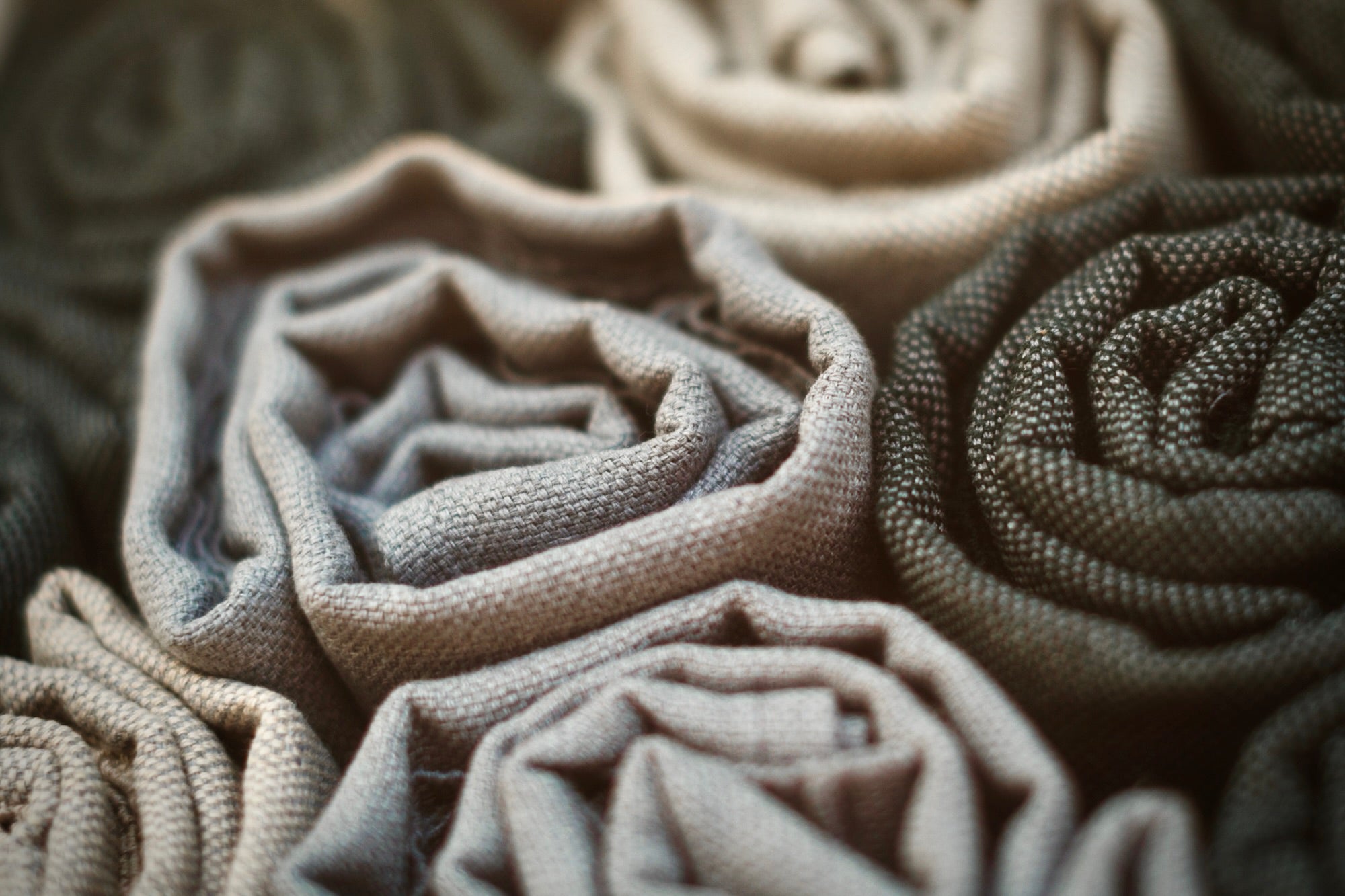 Sauna House Durham: Bathhouse, Ice Bath, and Cold Plunge